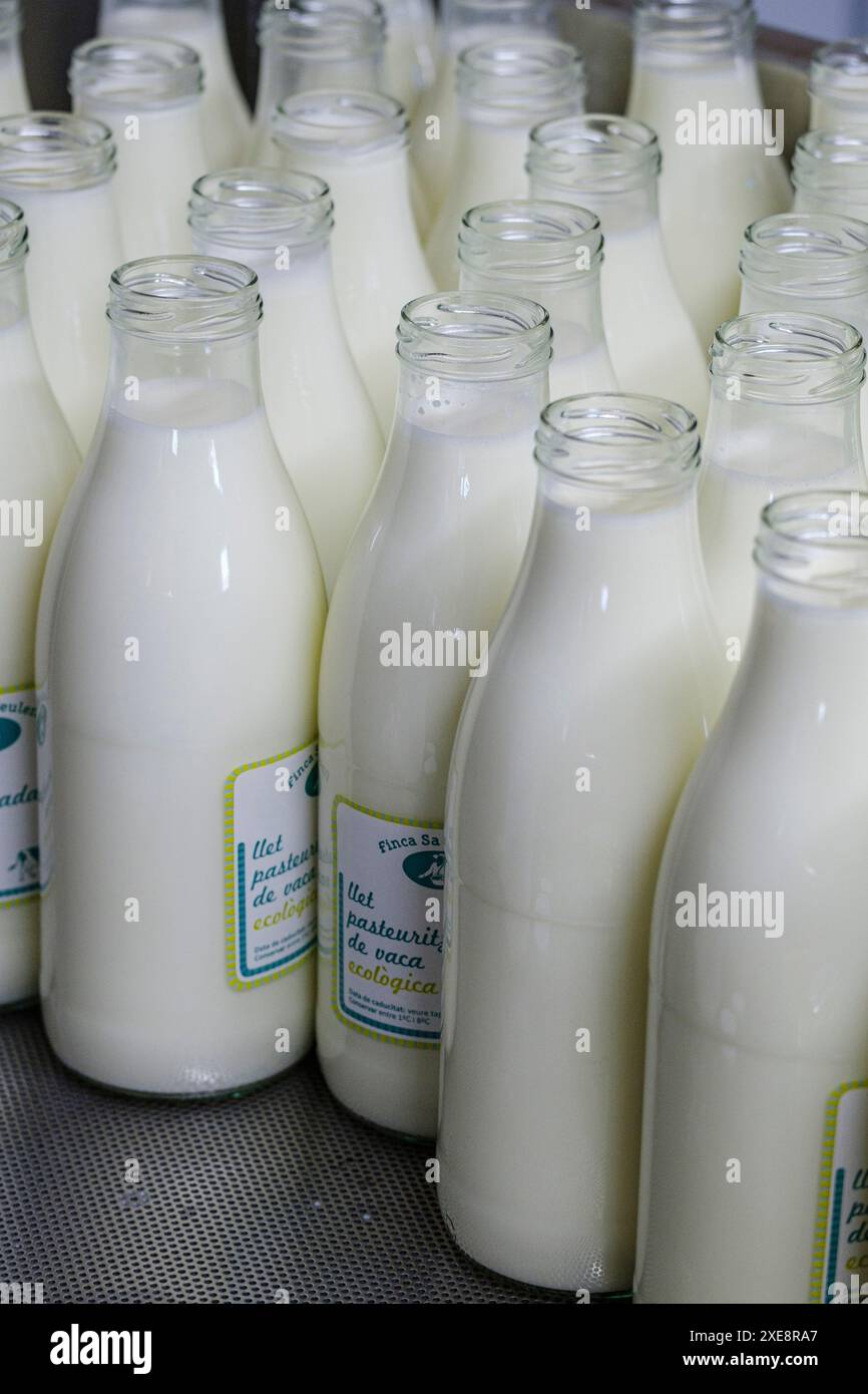 Ecological milk hi-res stock photography and images - Alamy