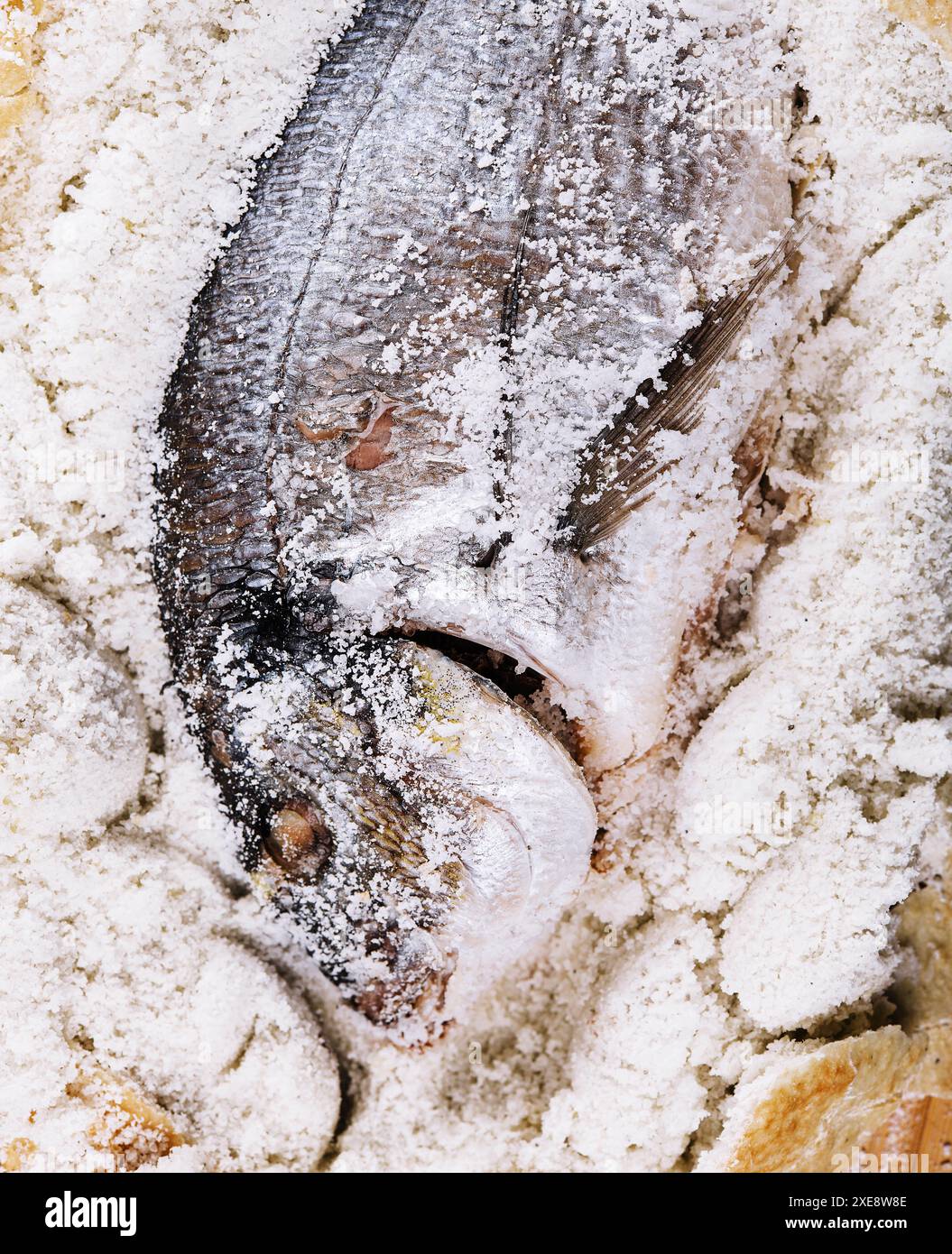 Fish top view hi-res stock photography and images - Alamy