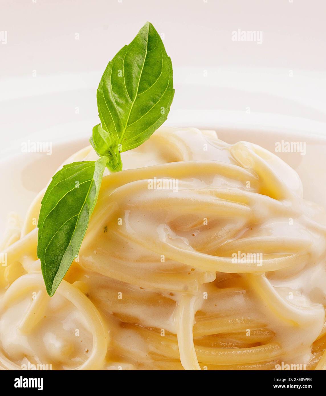 Top view spaghetti meat hi-res stock photography and images - Alamy
