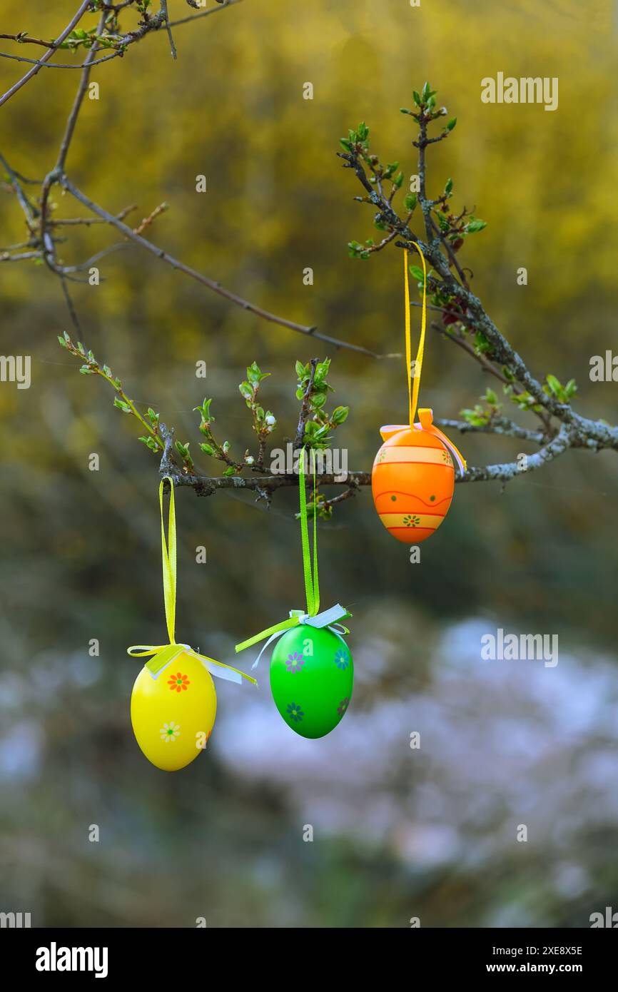 Vertical closeup colorful tree hi-res stock photography and images - Alamy