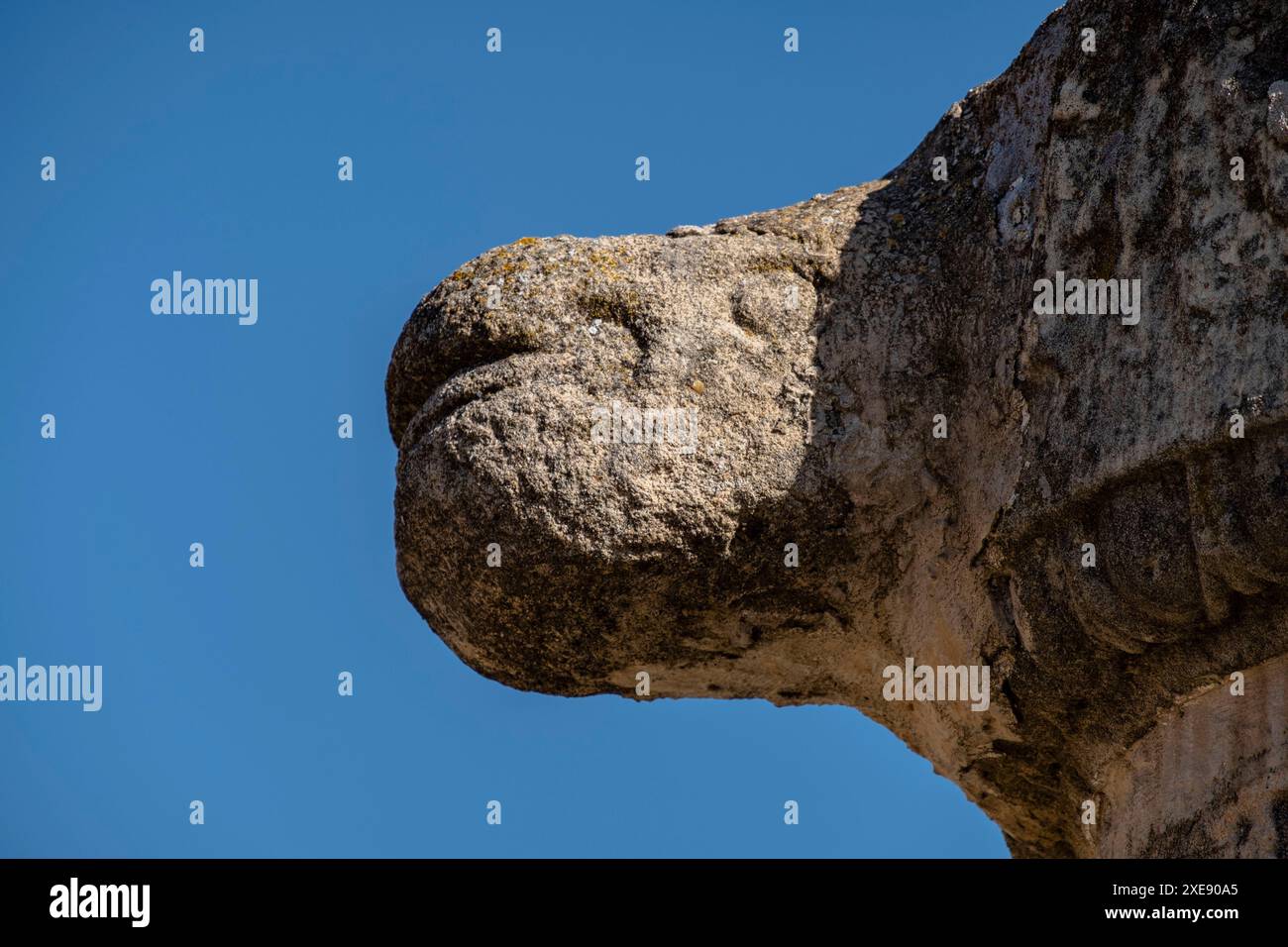 Picota hi-res stock photography and images - Alamy