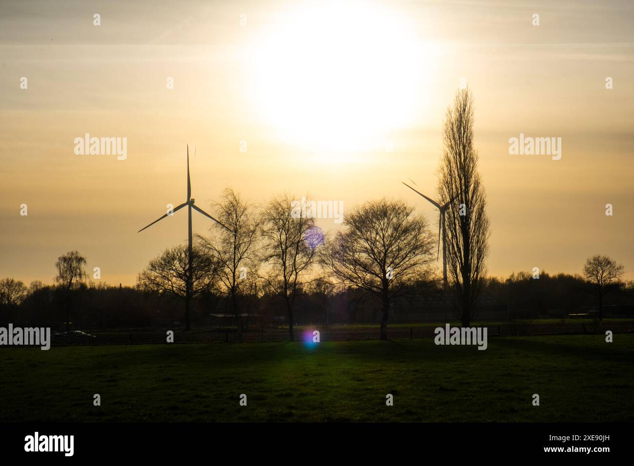 The image captures a pastoral scene at dusk where the silhouette of ...