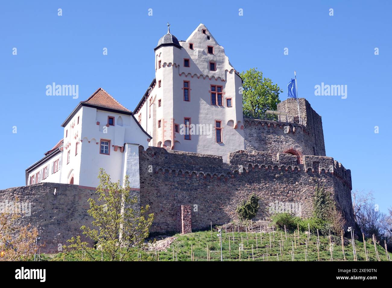 Alzenau castle hi-res stock photography and images - Alamy