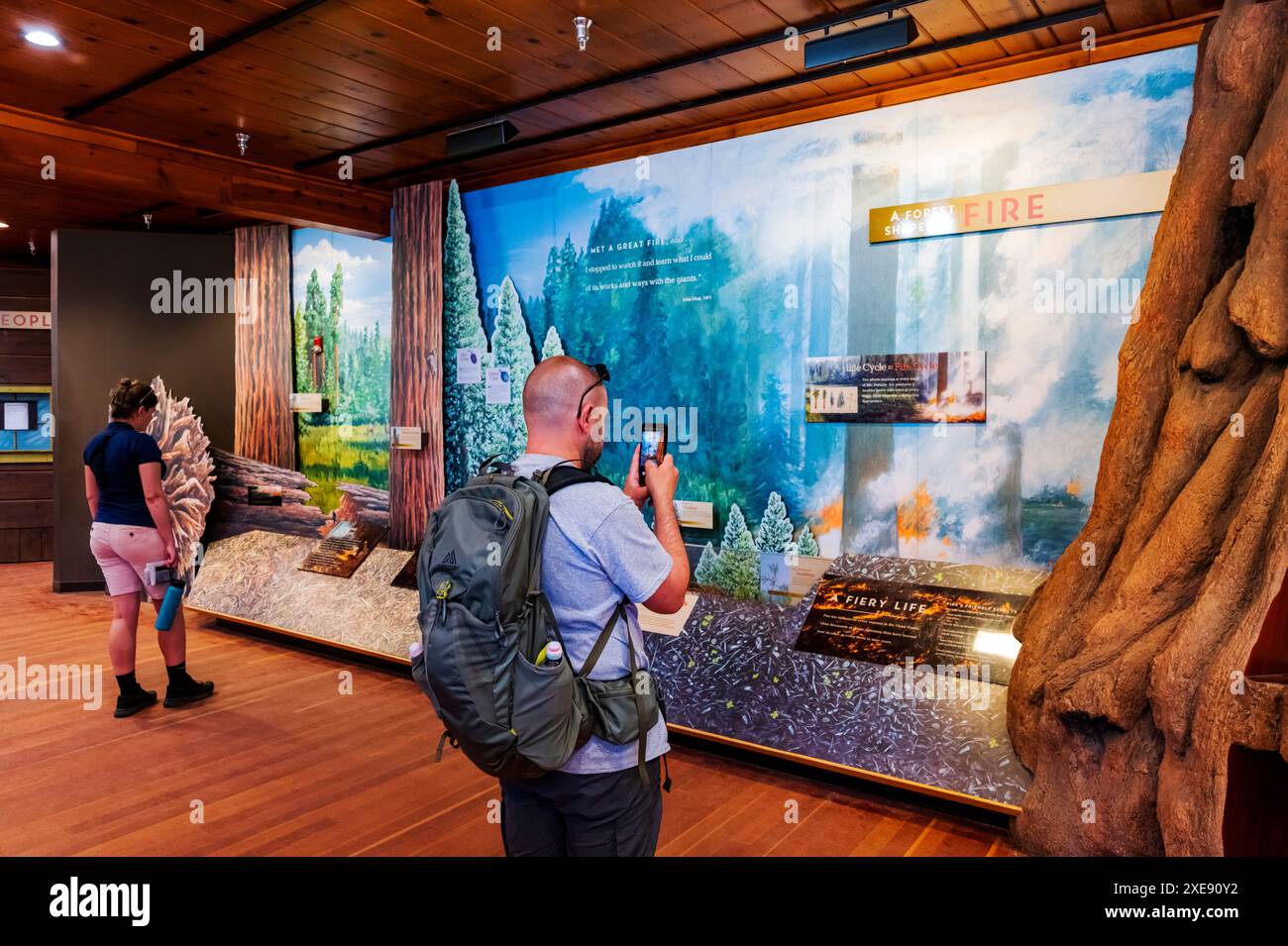 Visitors explore Giant Forest Museum; Sequoia National Park; California ...