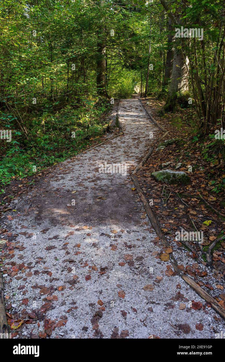 Environmental trail hi-res stock photography and images - Alamy