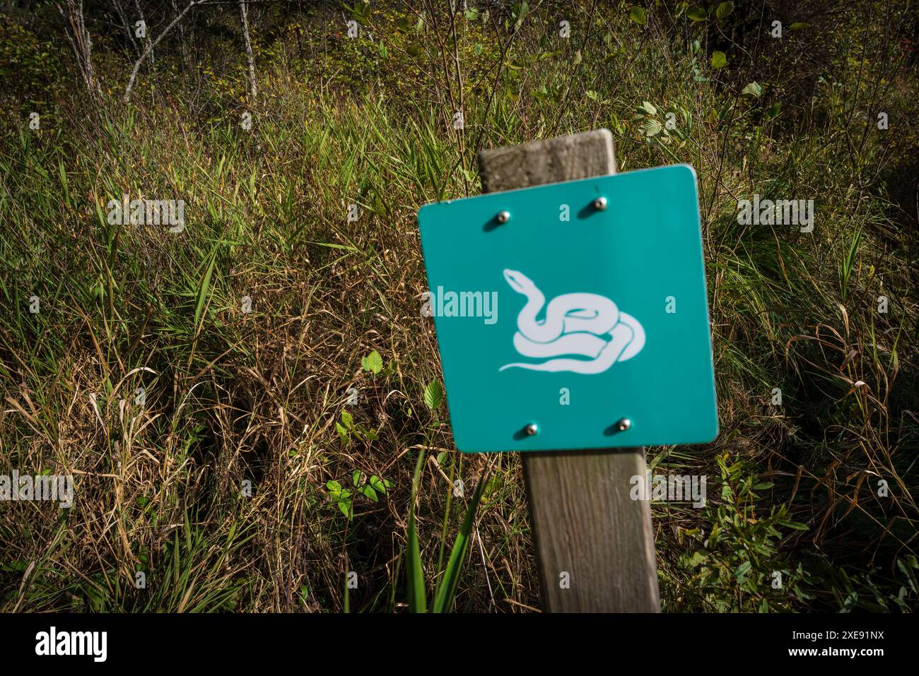 Sign warning about snakes Stock Photo - Alamy