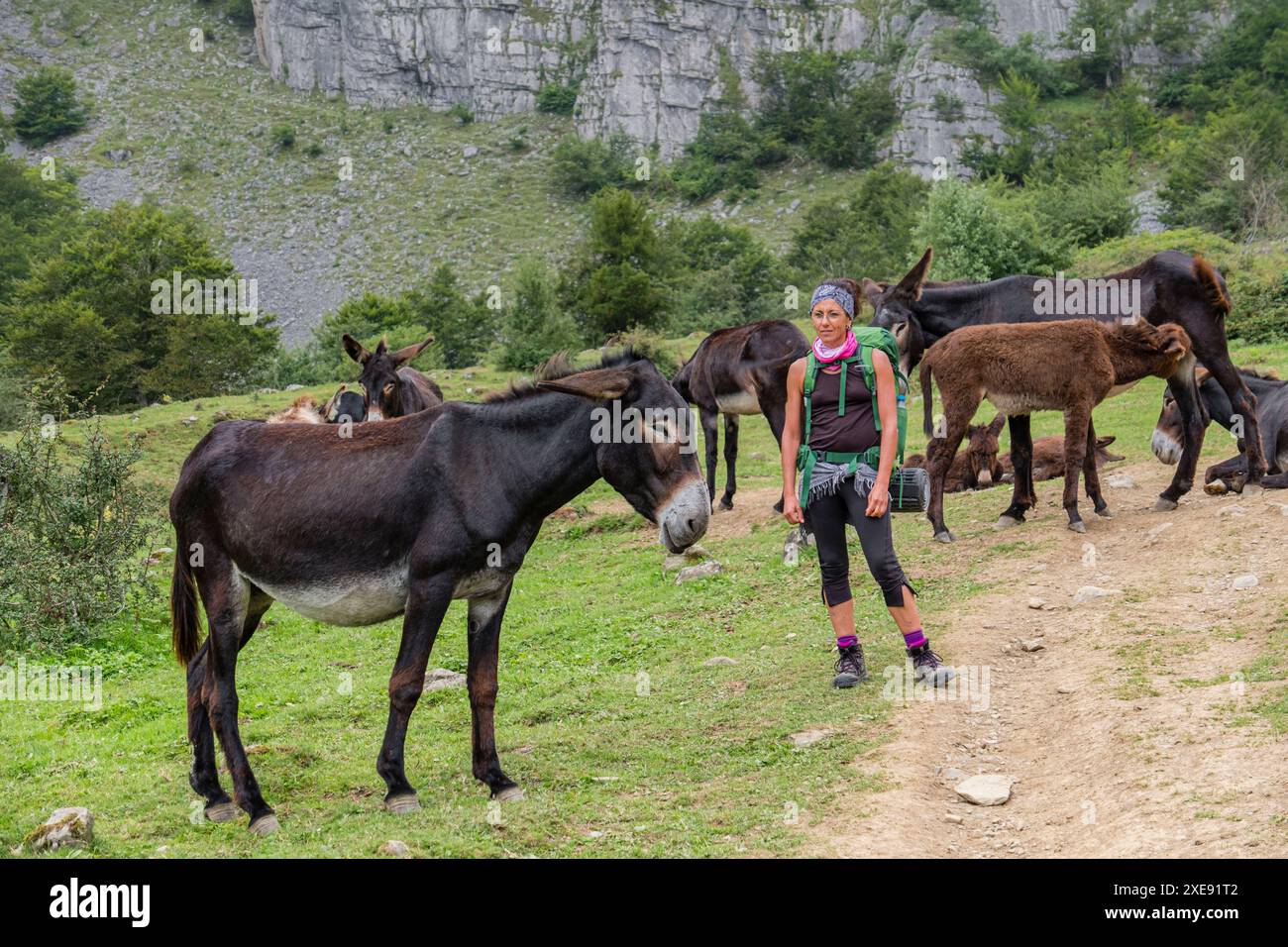 Semi natural areas hi-res stock photography and images - Alamy