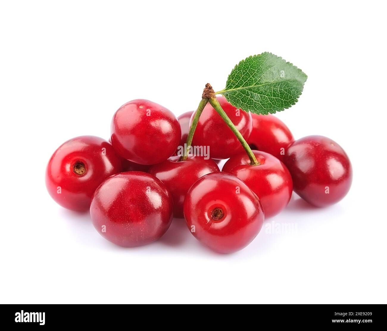 Sweet fresh organic cherry Cut Out Stock Images & Pictures - Alamy