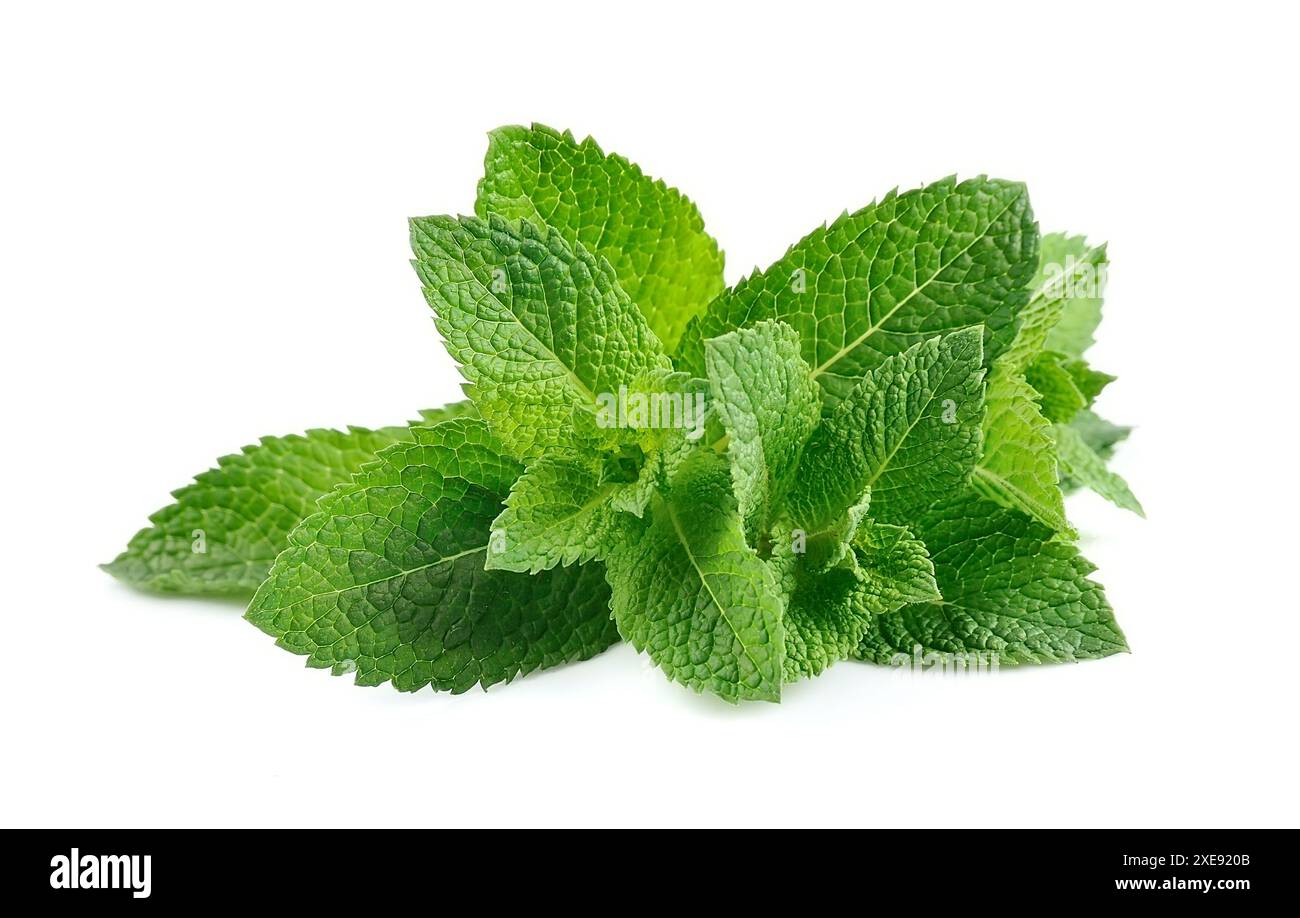 Mint leaves isolated Stock Photo - Alamy