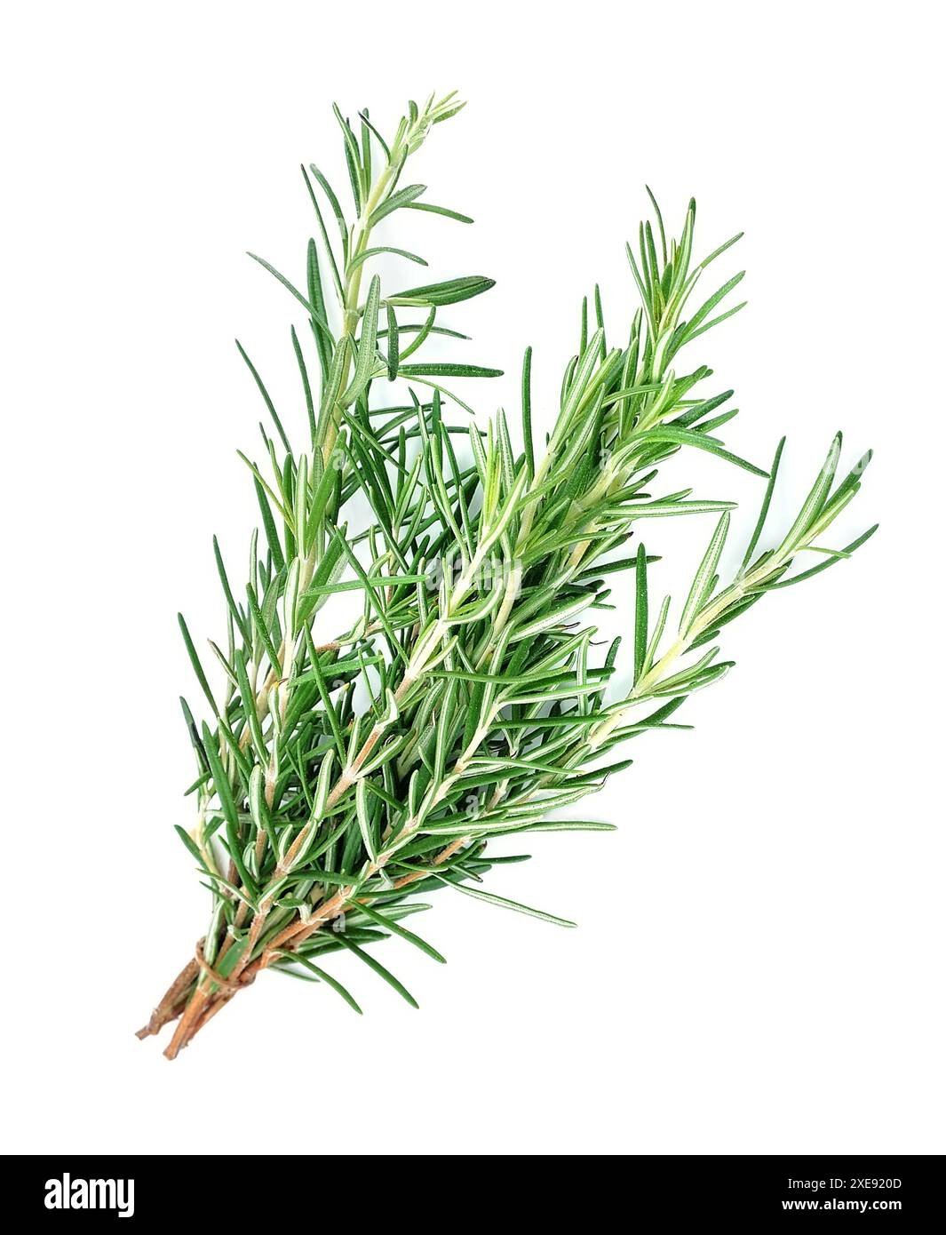 Rosemary freshness hi-res stock photography and images - Alamy