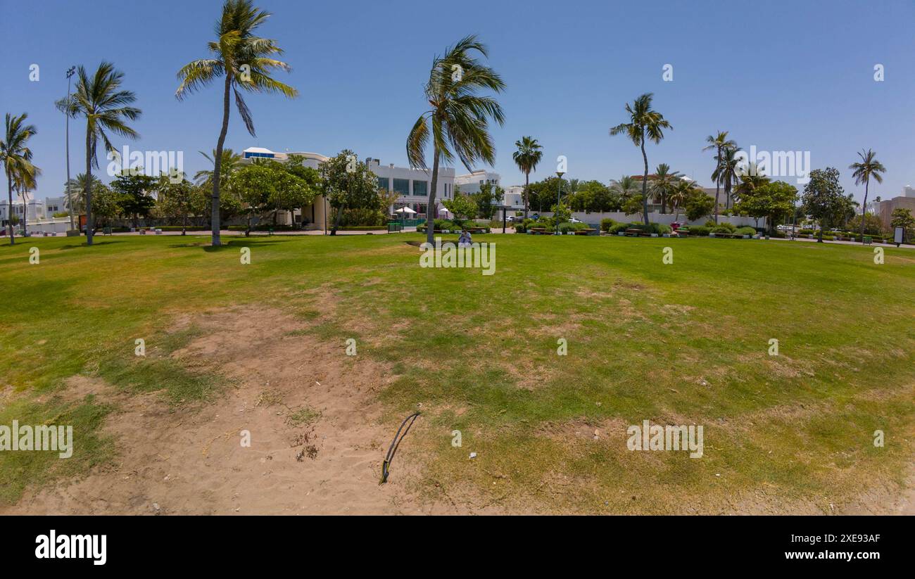 Photography of green park near a beach in Muscat, Oman during sunny ...