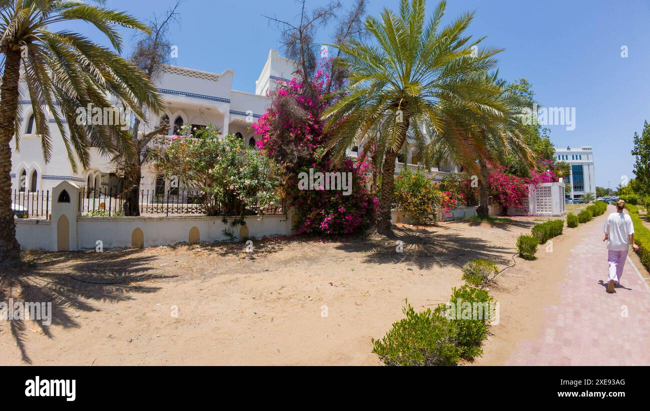Photography of houses and flower gardens in Muscat city during sunny ...