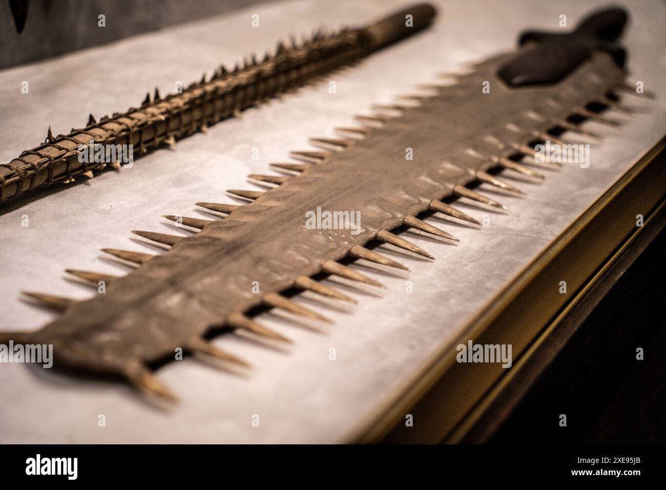 Tebutje and sawfish sword Stock Photo - Alamy