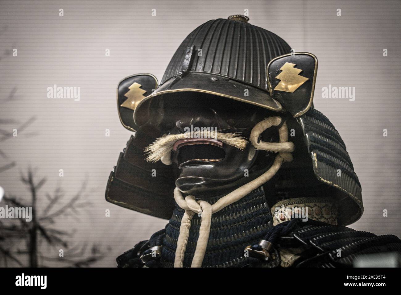 Armor craft hi-res stock photography and images - Alamy
