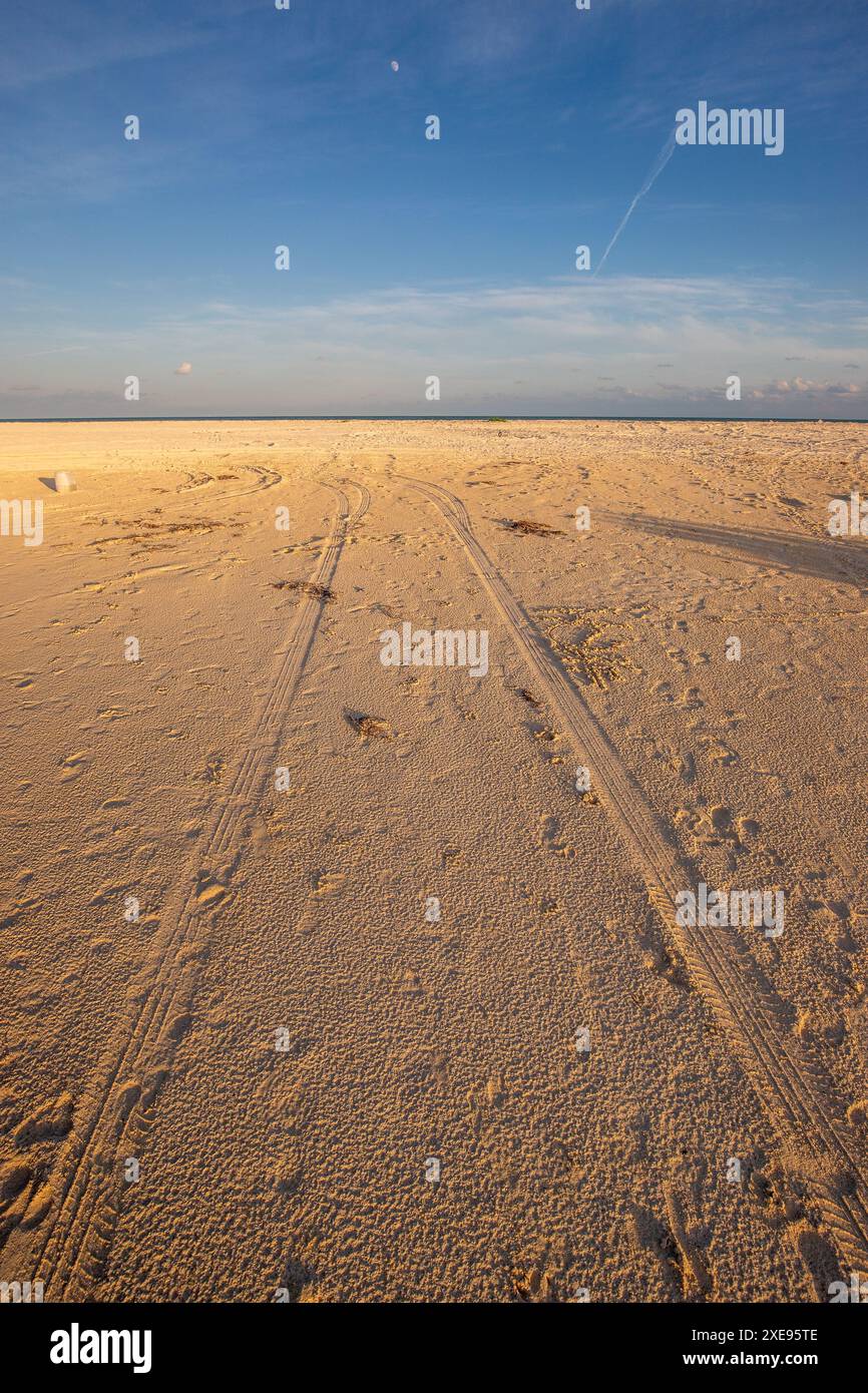 Car tire marks in the sand on the beach Stock Photo - Alamy