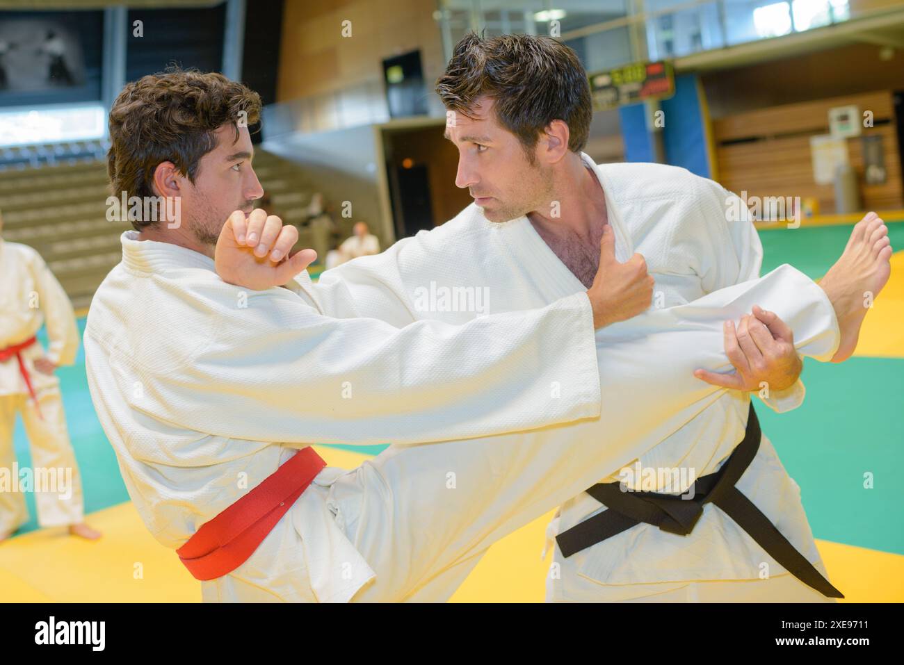 people at a judo class Stock Photo - Alamy