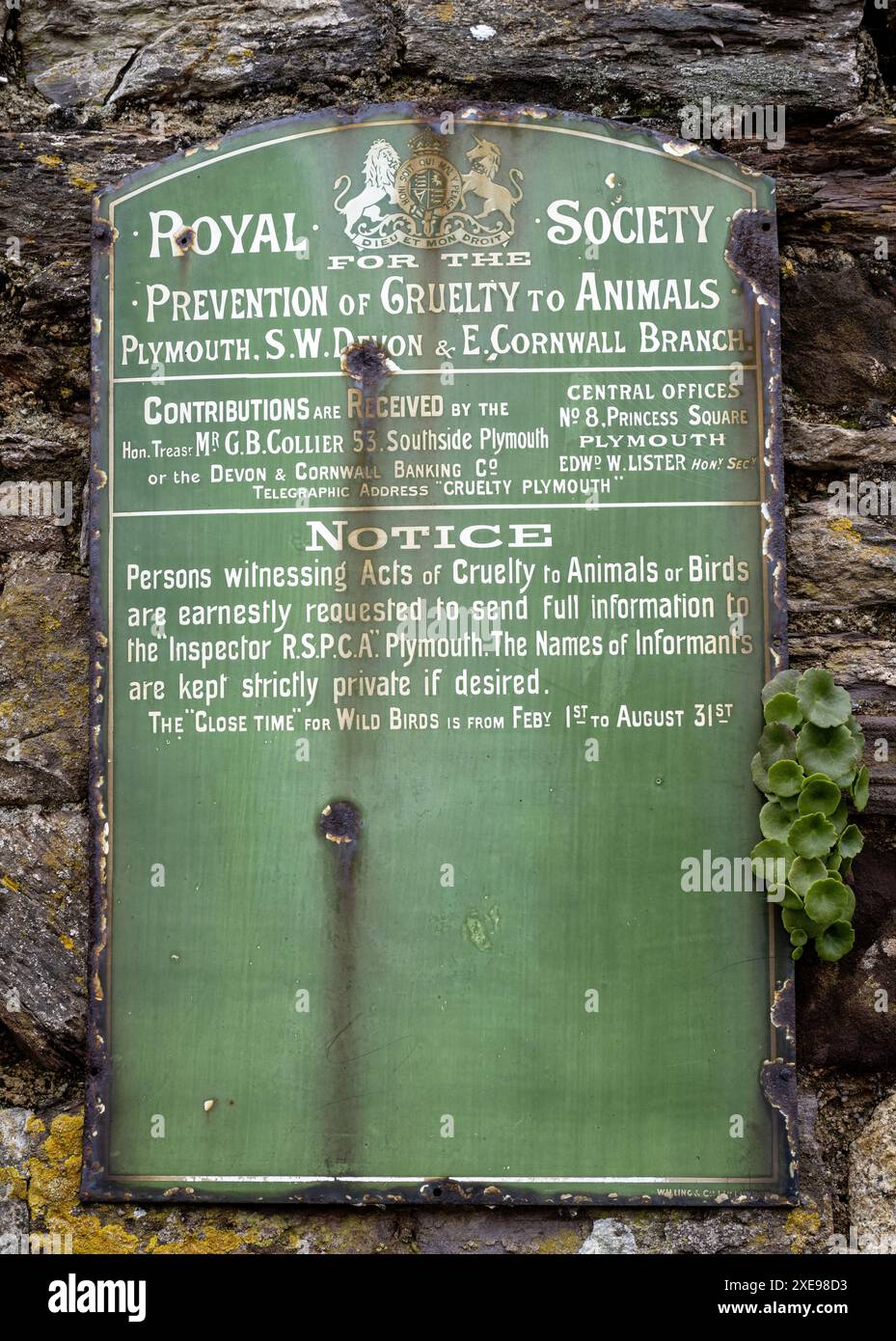 Vintage rspca plaques hi-res stock photography and images - Alamy