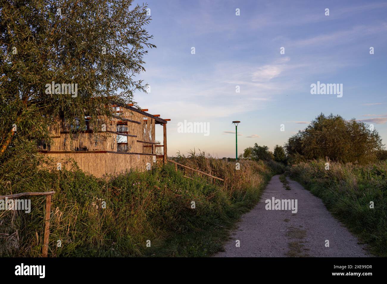 Froser see hi-res stock photography and images - Alamy