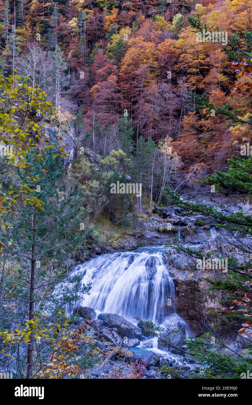 Arripas hi-res stock photography and images - Alamy