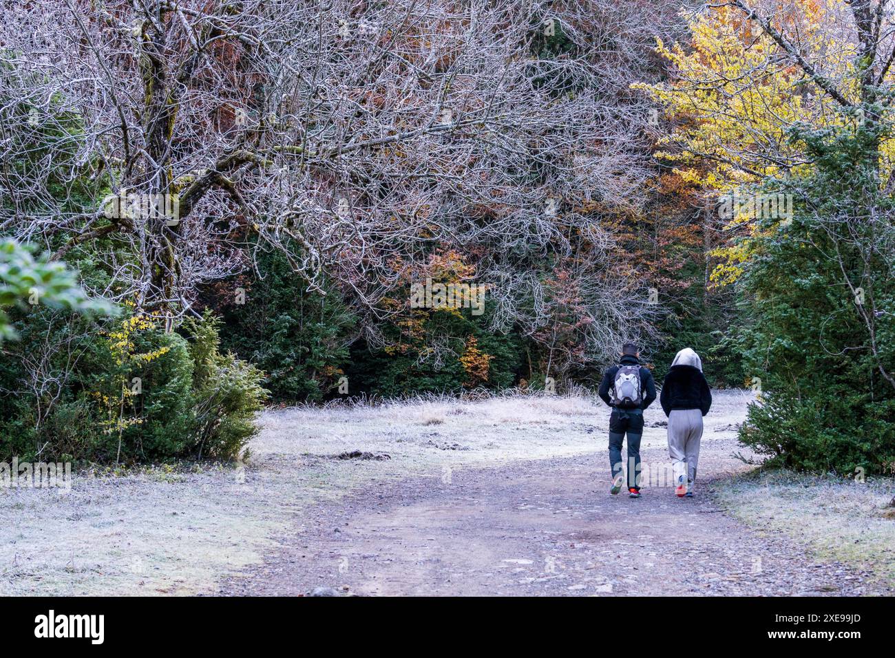 Walking path wildlife refuge hi-res stock photography and images - Alamy
