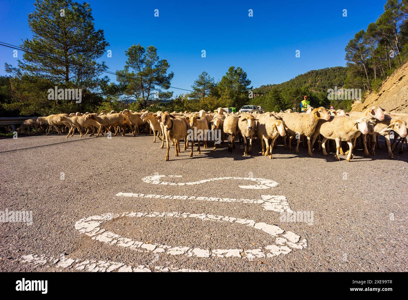 Transhumance migration hi-res stock photography and images - Alamy