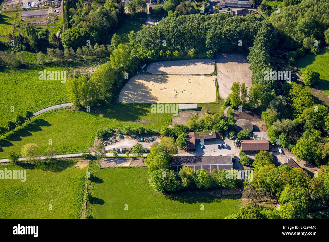 Breeding community and driving community herdecke ende e v hi-res stock ...