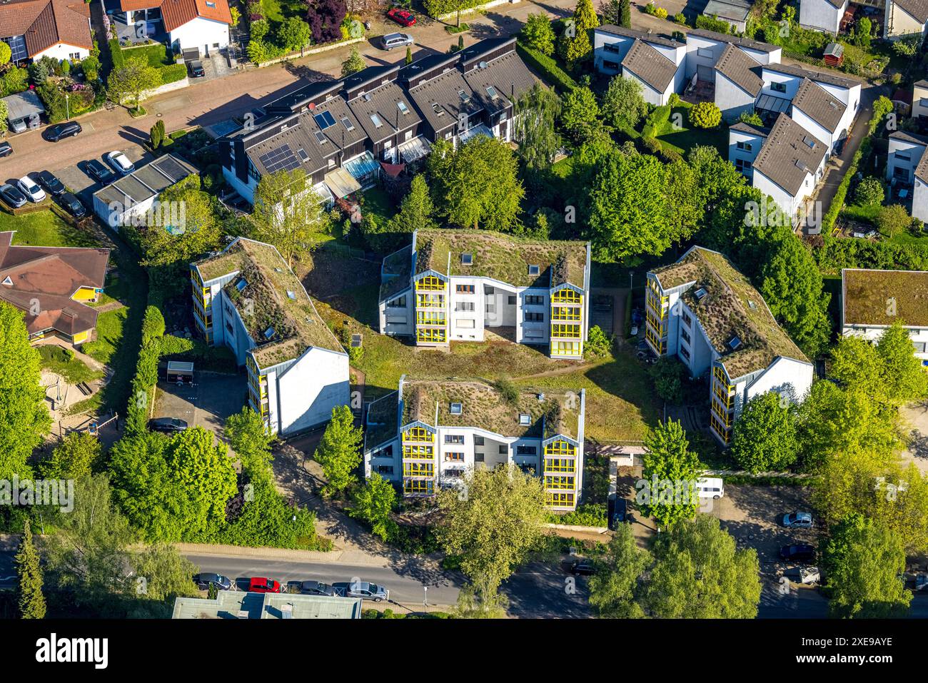 Aerial view, EnergyHouses with green roof planting, yellow window ...