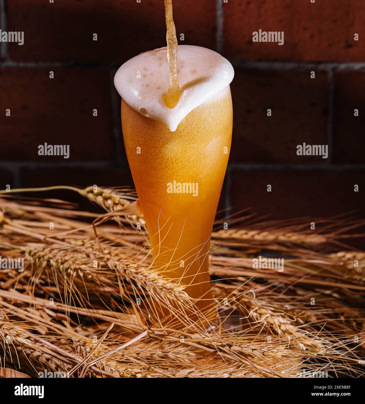Pouring beer into glass with wheat ears Stock Photo - Alamy