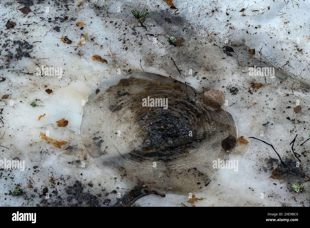 Round puddle on an ice-covered surface Stock Photo - Alamy