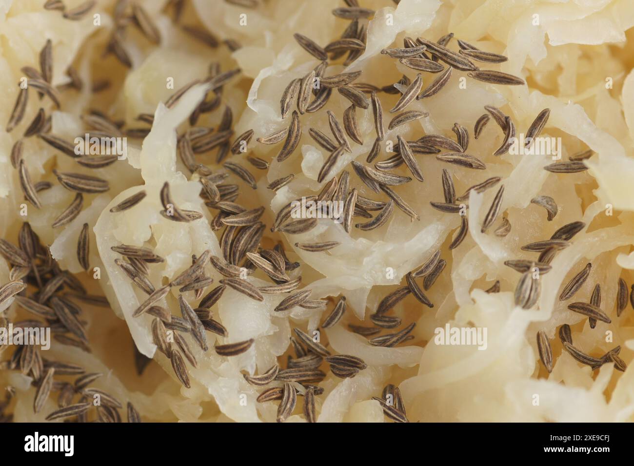 Leaf cabbage seeds hi-res stock photography and images - Alamy