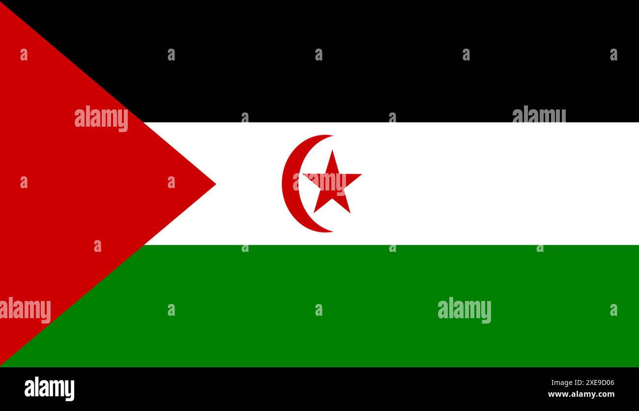 Flag of Western Sahara. flag of Sahrawi Arab Democratic Republic on ...