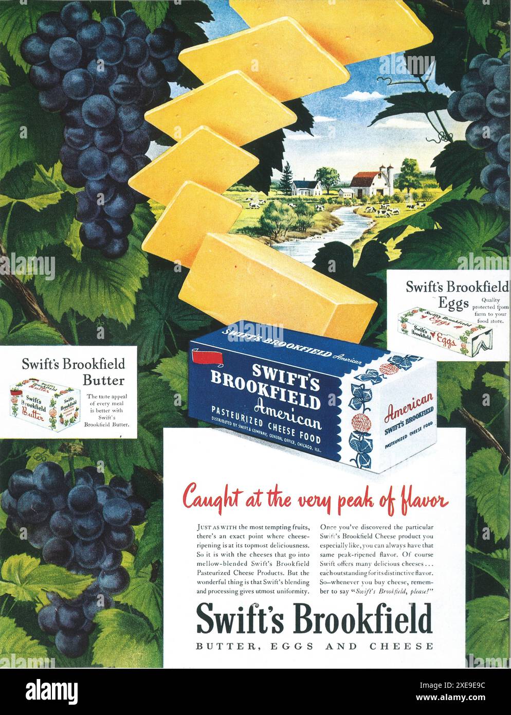 Vintage cheese advert hi-res stock photography and images - Alamy