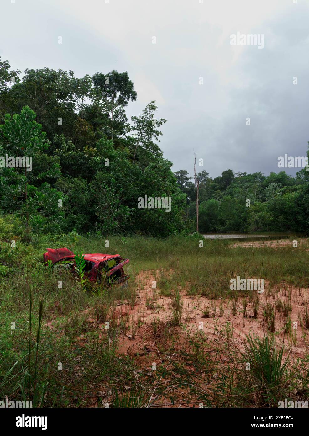 Crashed into tree hi-res stock photography and images - Alamy