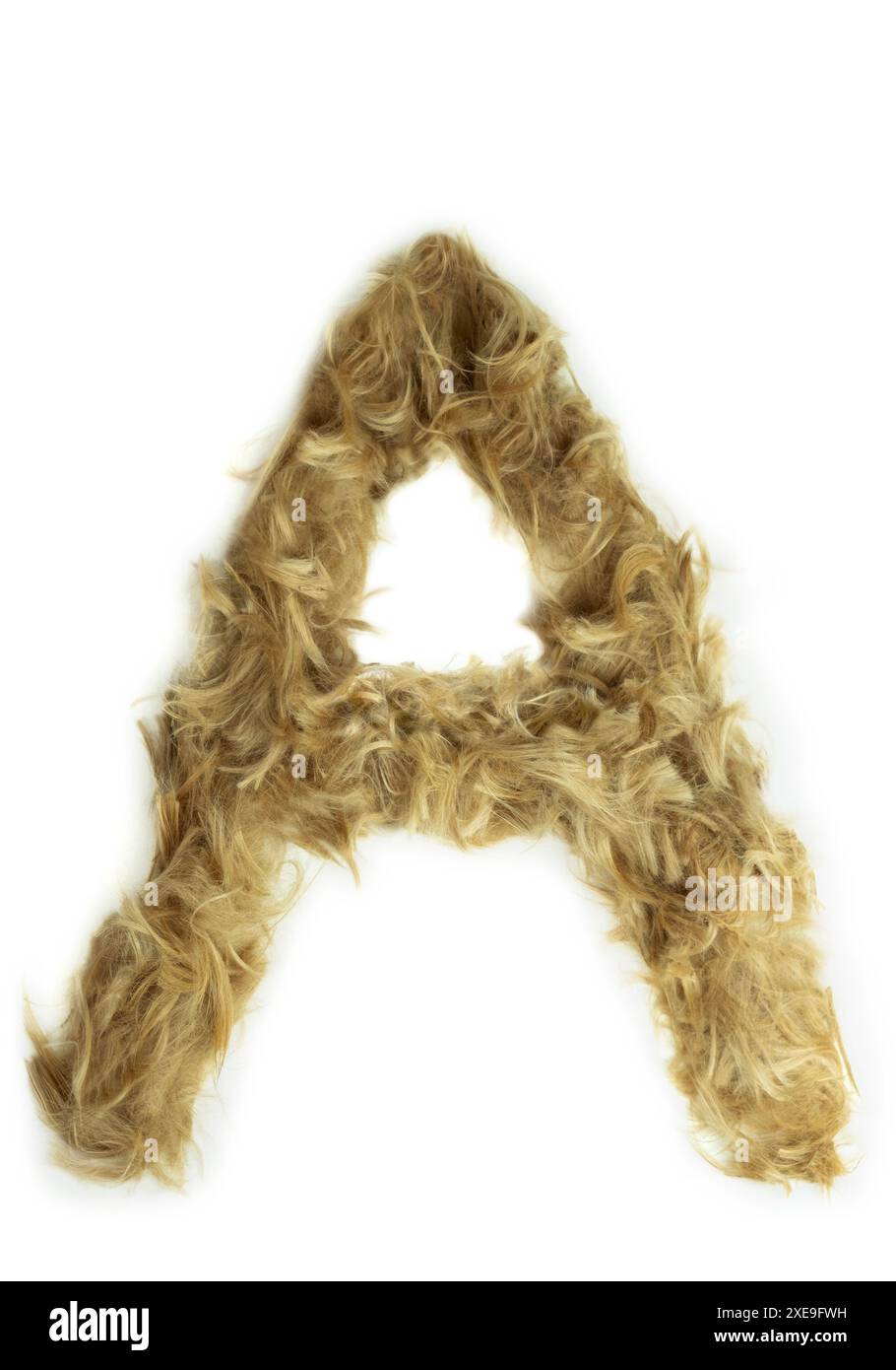 Creative typography made with real dog hair. Blonde hair on white ...