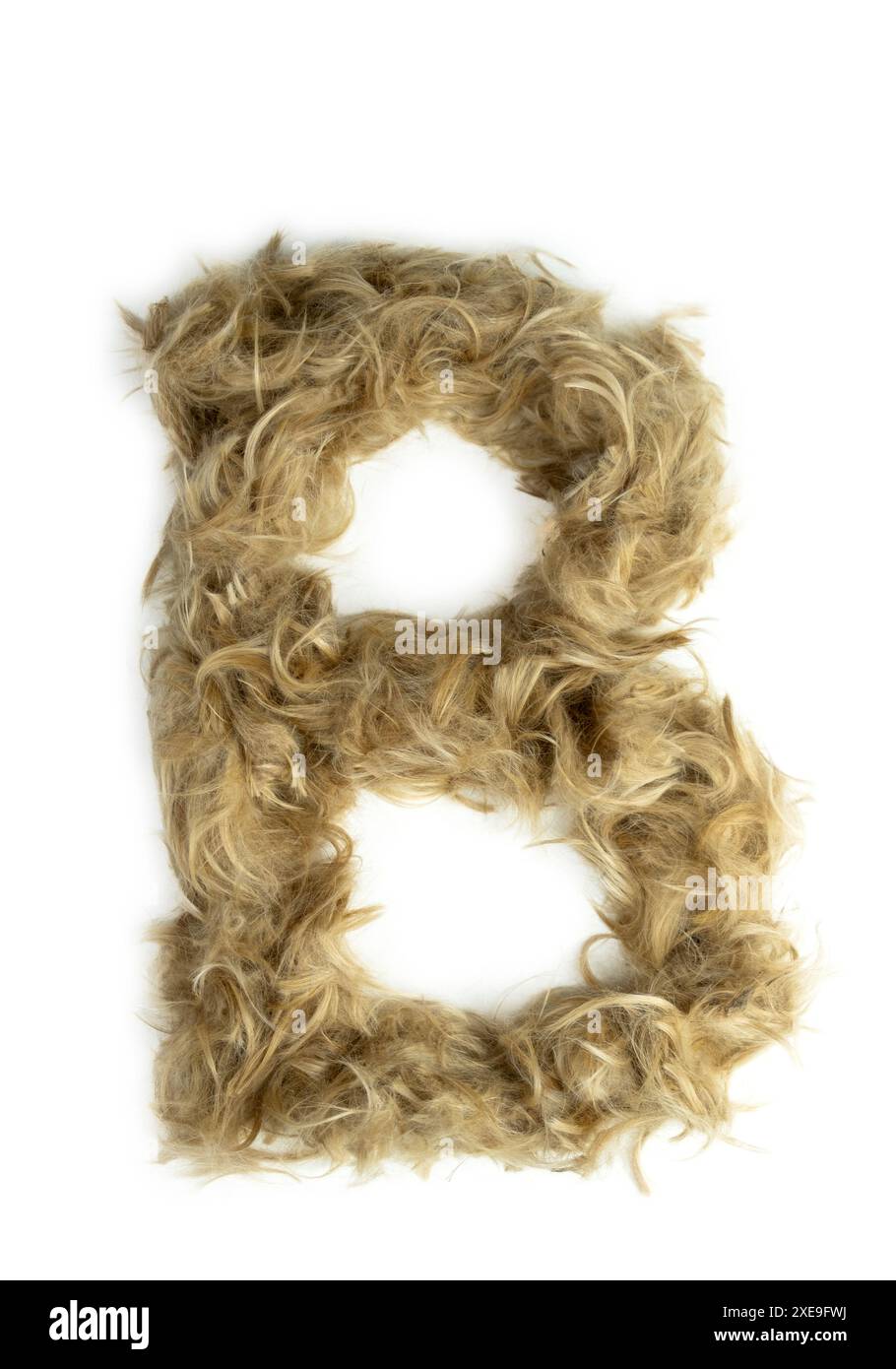 Creative typography made with real dog hair. Blonde hair on white ...
