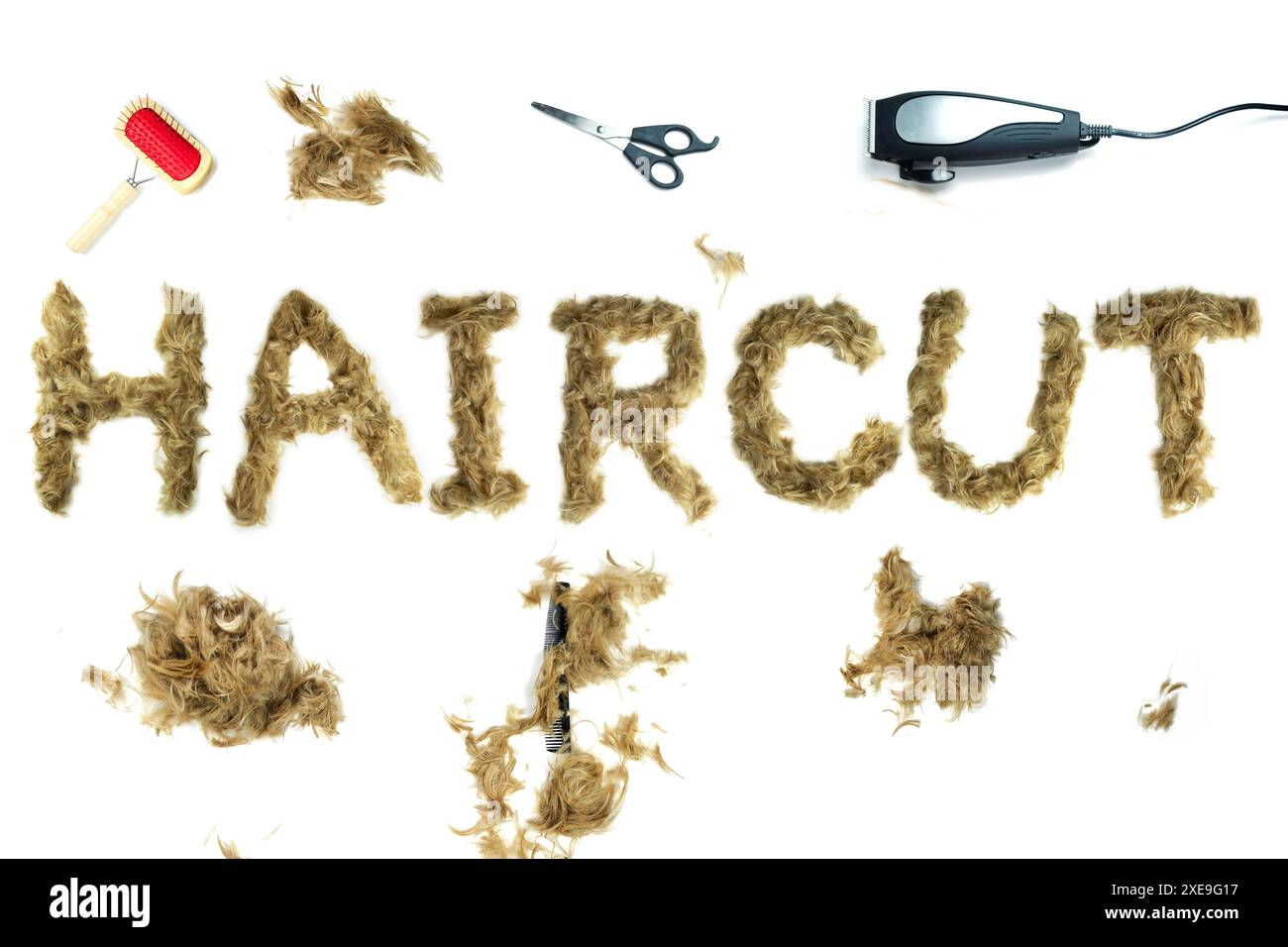 Creative typography made with real dog hair. Blonde hair on white ...