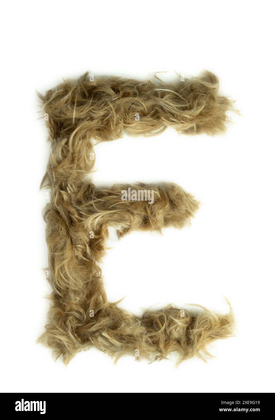 Creative typography made with real dog hair. Blonde hair on white ...