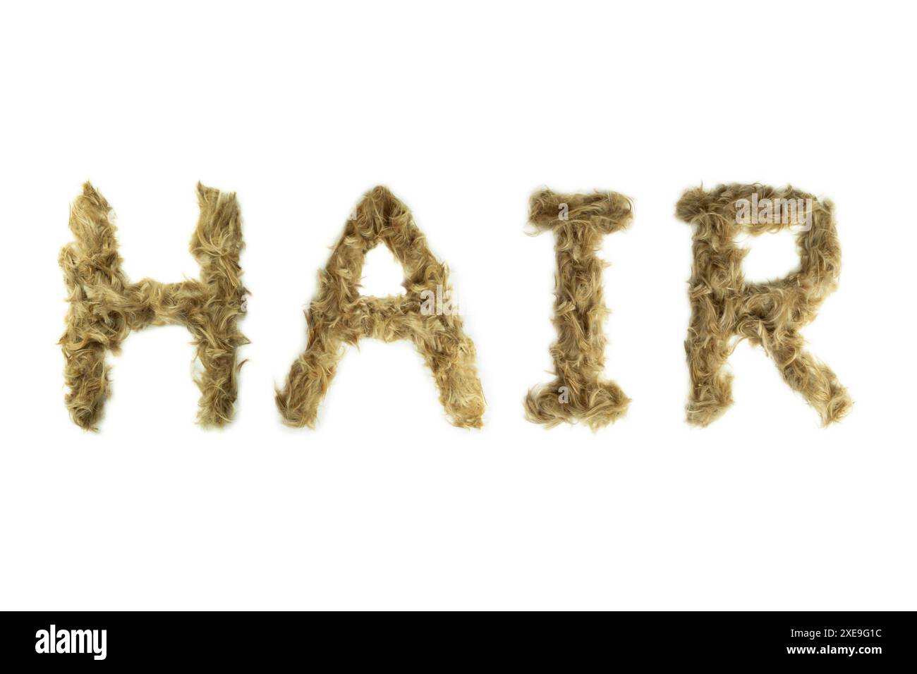 Creative typography made with real dog hair. Blonde hair on white ...