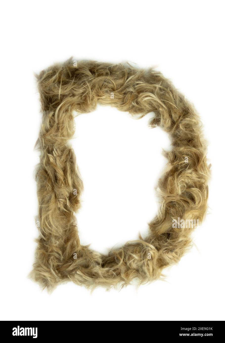 Creative typography made with real dog hair. Blonde hair on white ...