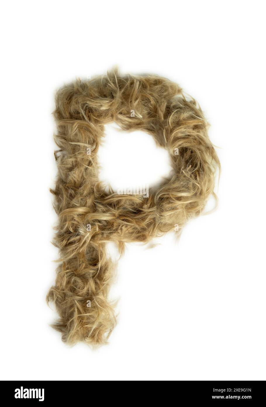 Creative typography made with real dog hair. Blonde hair on white ...
