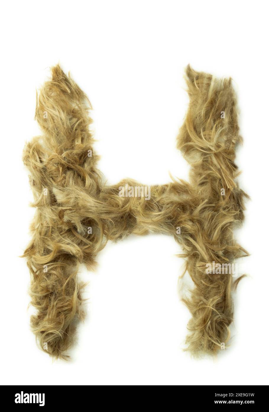 Creative typography made with real dog hair. Blonde hair on white ...