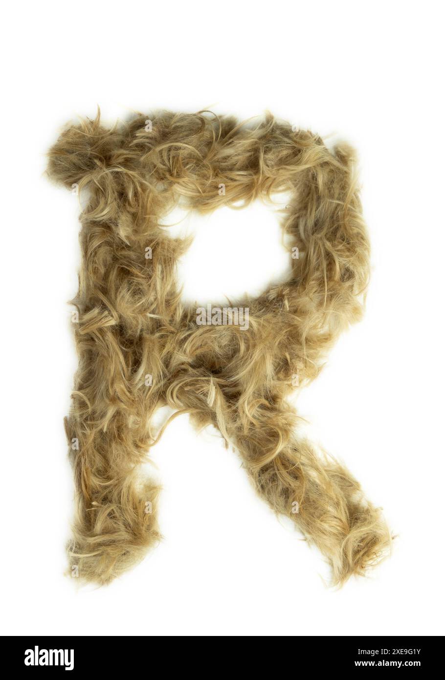 Creative typography made with real dog hair. Blonde hair on white ...