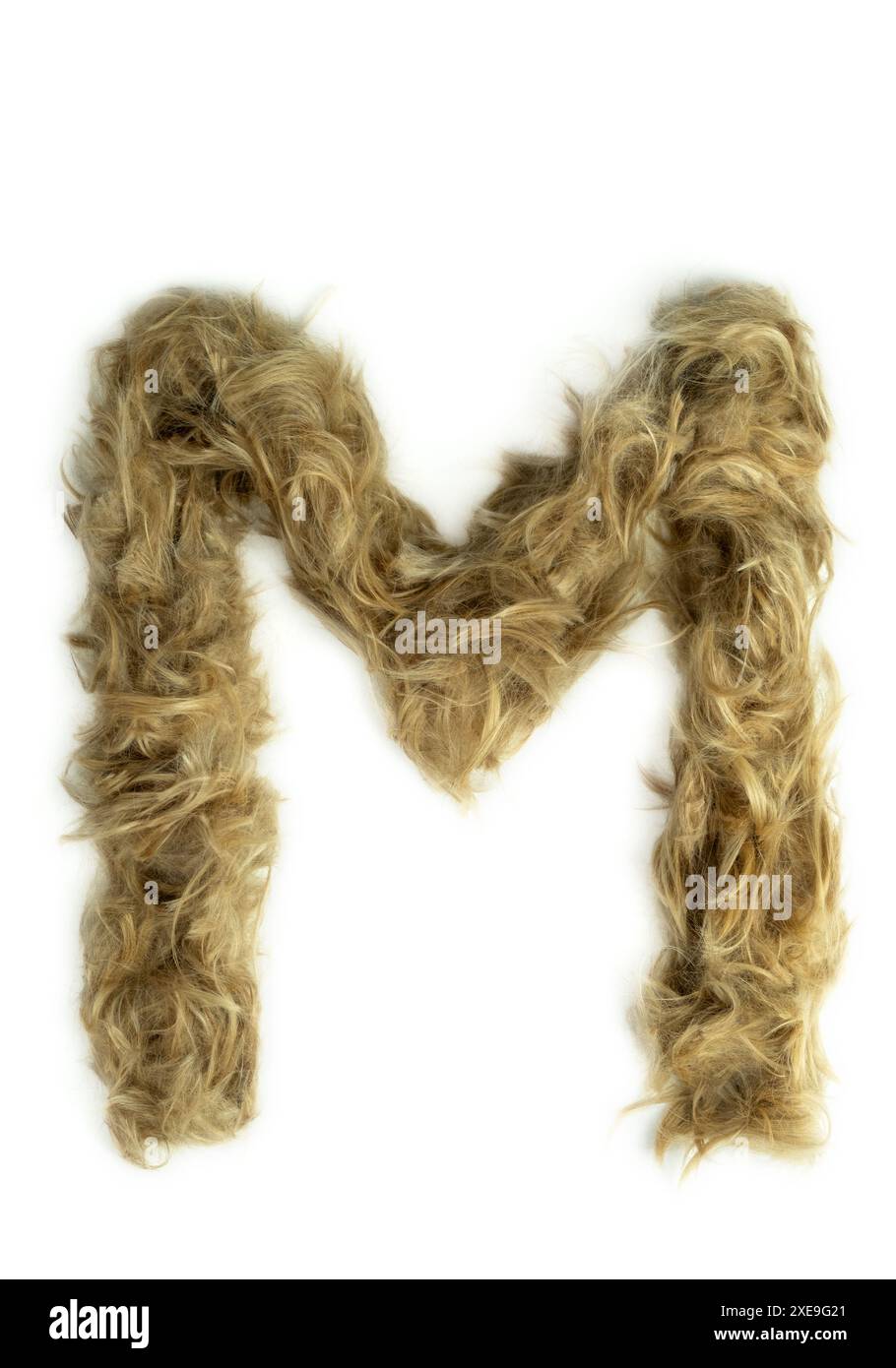 Creative typography made with real dog hair. Blonde hair on white ...