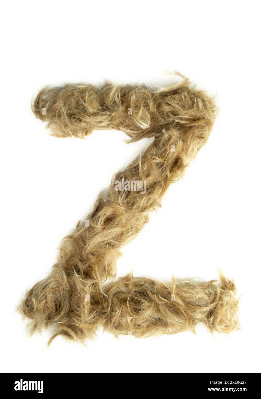 Creative typography made with real dog hair. Blonde hair on white ...