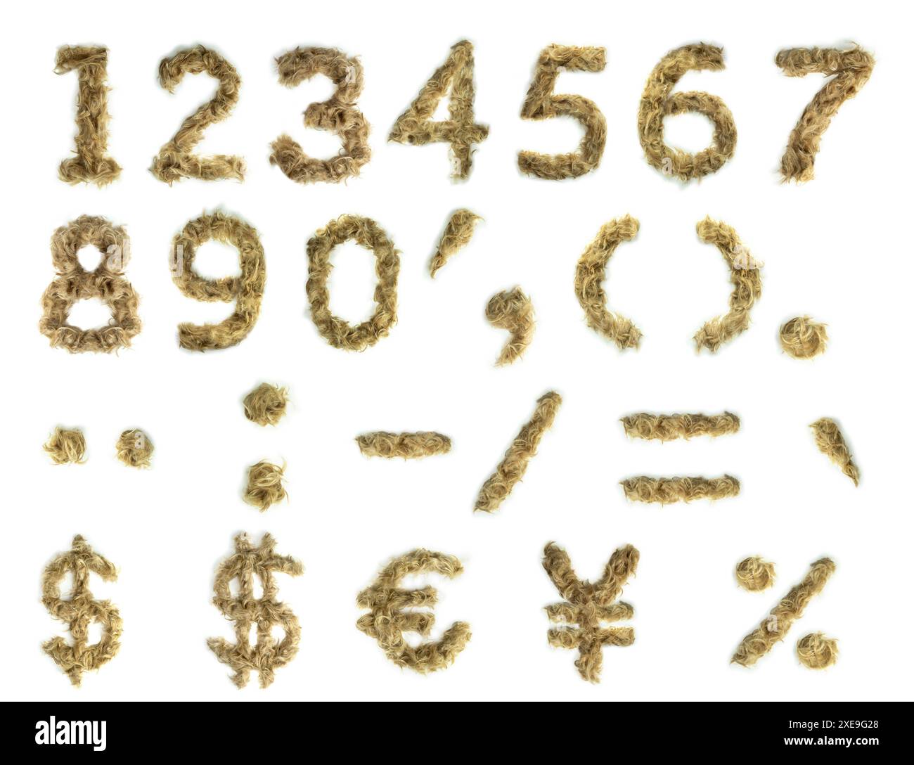 Creative typography made with real dog hair. Blonde hair on white ...