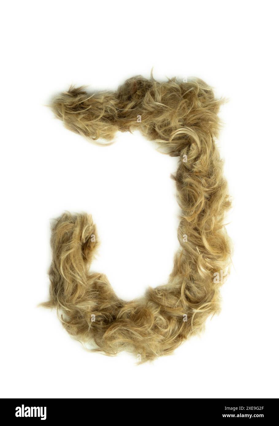 Creative typography made with real dog hair. Blonde hair on white ...