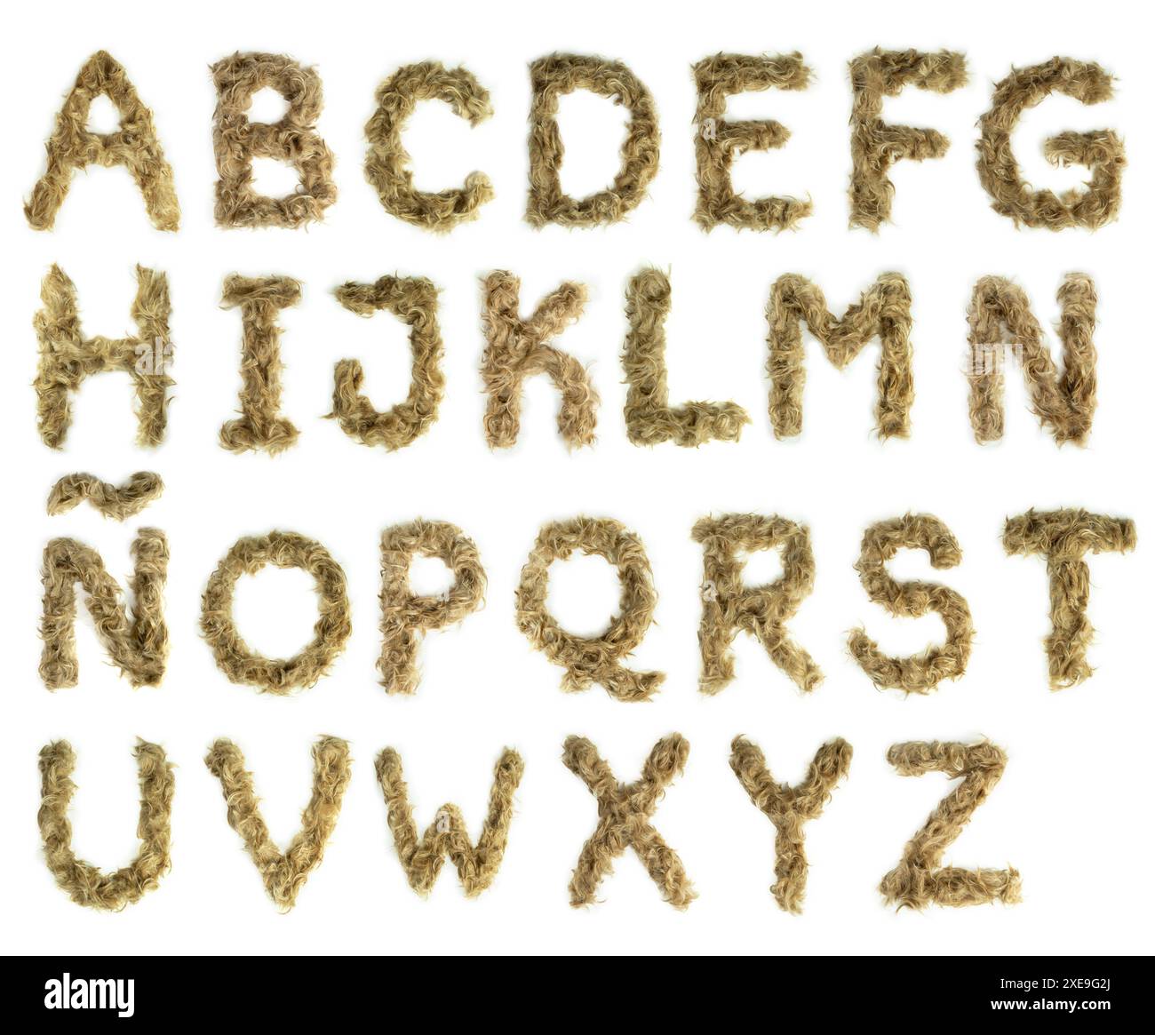 Creative typography made with real dog hair. Blonde hair on white ...
