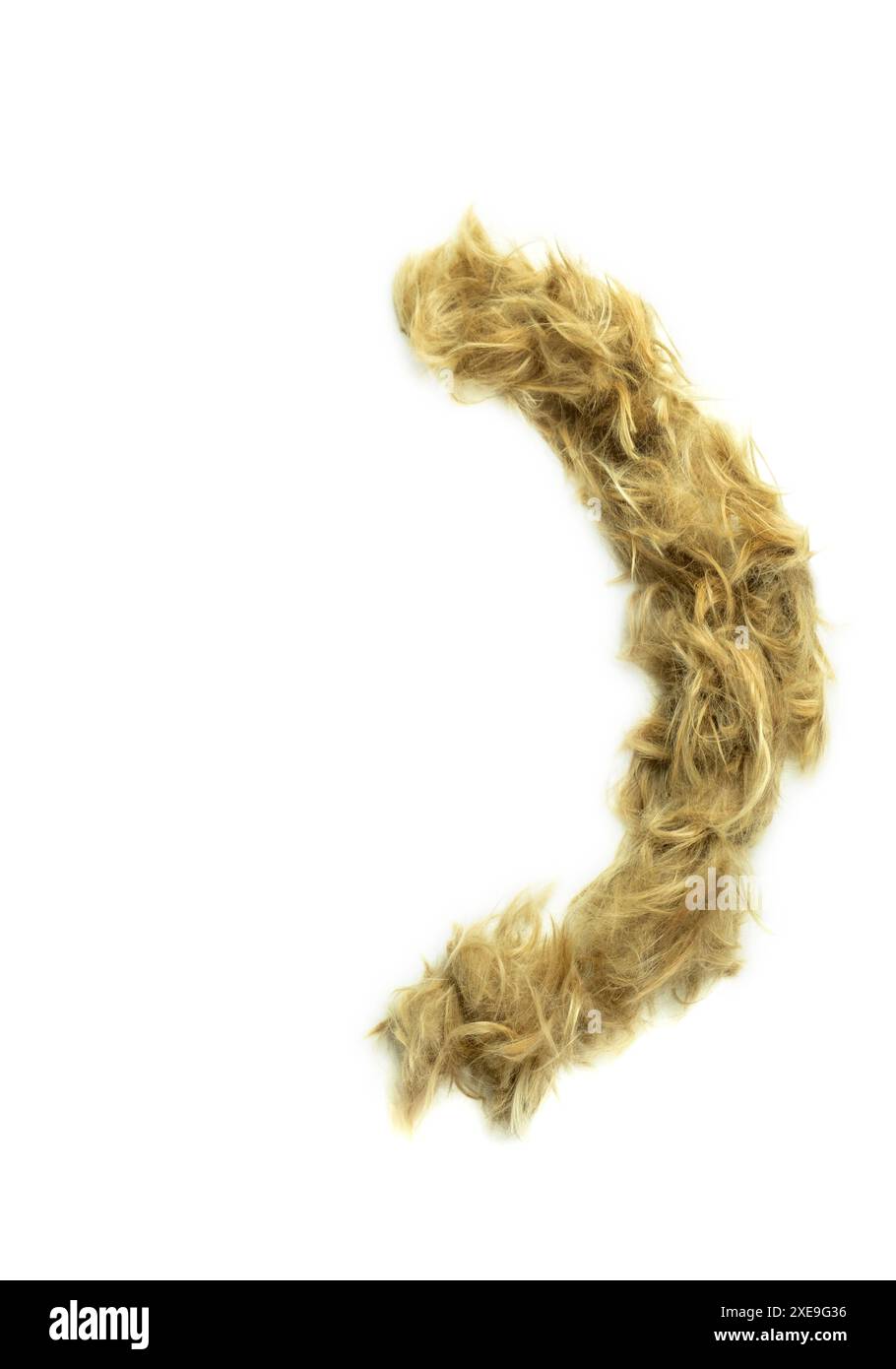 Creative typography made with real dog hair. Blonde hair on white ...