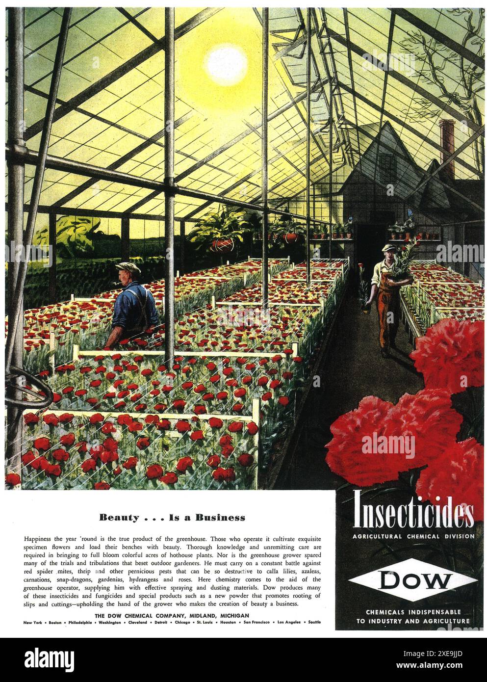 1946 beauty Cut Out Stock Images & Pictures - Alamy