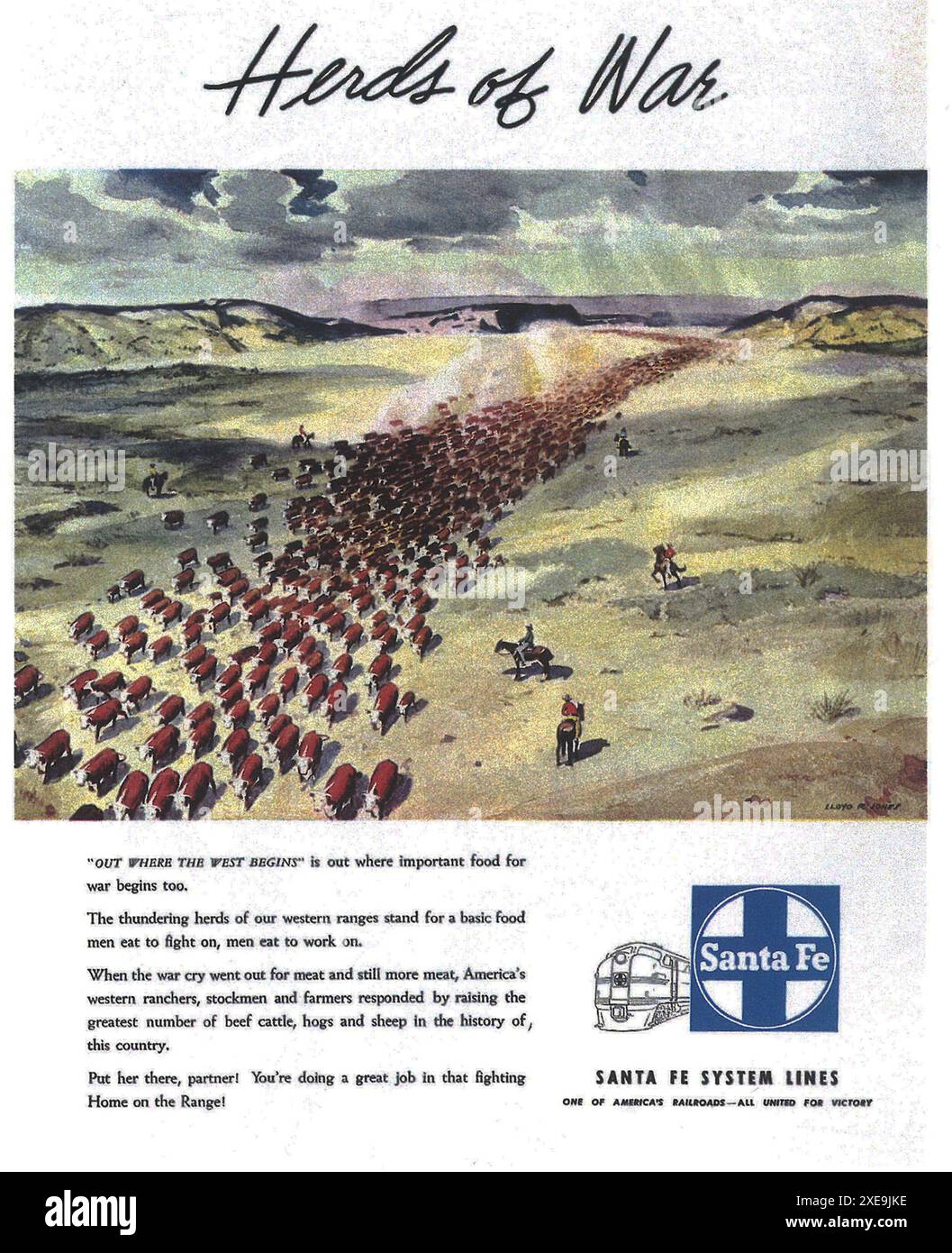 1944 Santa Fe System Lines ad - food for war cattle Stock Photo - Alamy